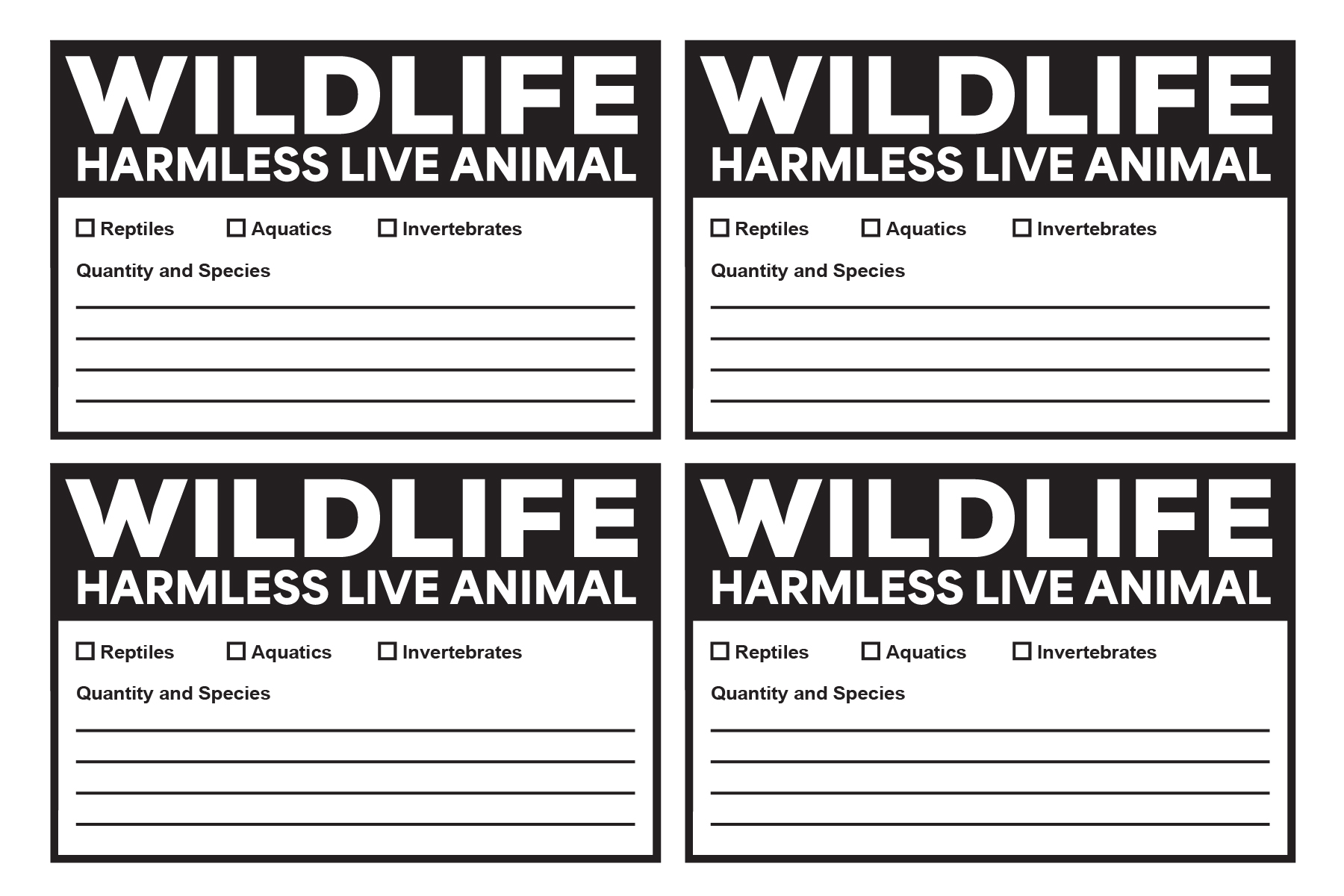 8x11 Label